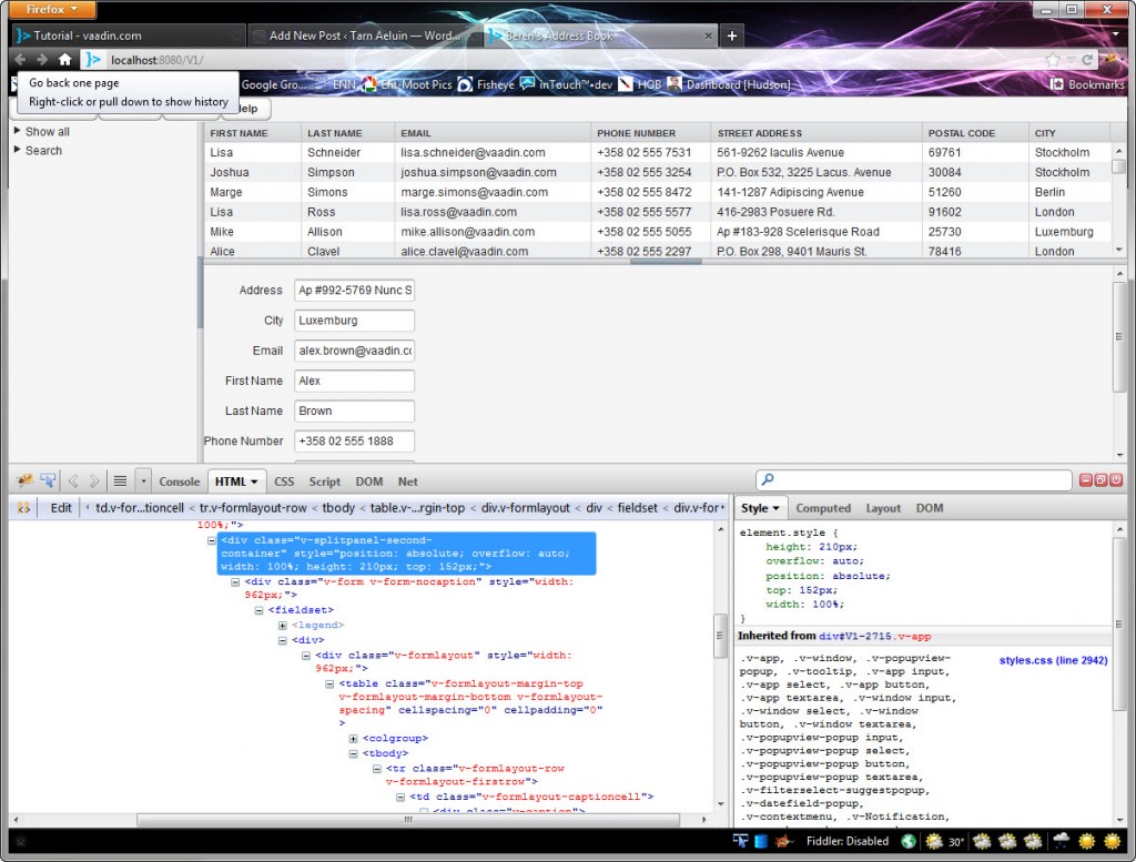 Vaadin Part Deux - Widgets, Forms, Validators • Tarn Aeluin